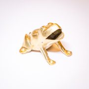 Sapo Game Brass Frog - Authentic Peruvian Juego de Sapo Brass | Sapo Miami